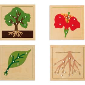 Botany puzzle: flower - Nienhuis Montessori - Teia Education & Play