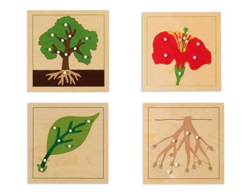 Botany puzzle: flower - Nienhuis Montessori - Teia Education & Play