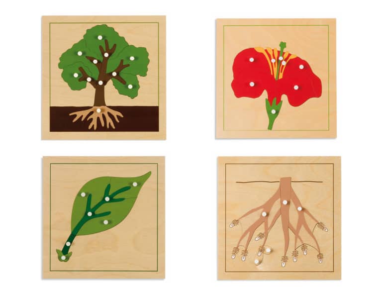 Botany puzzle: flower - Nienhuis Montessori - Teia Education & Play