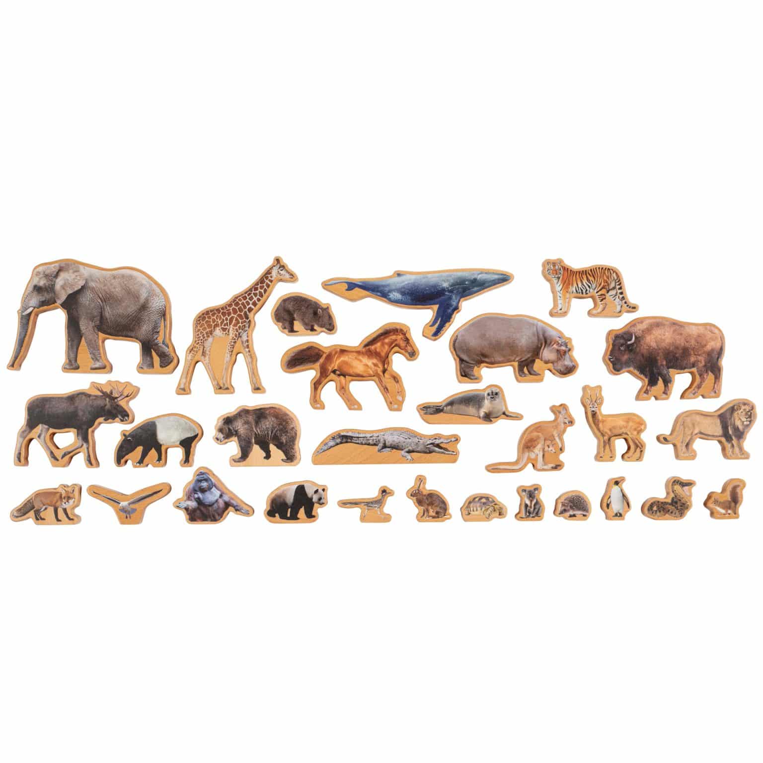 The animal continent box - Nienhuis Montessori
