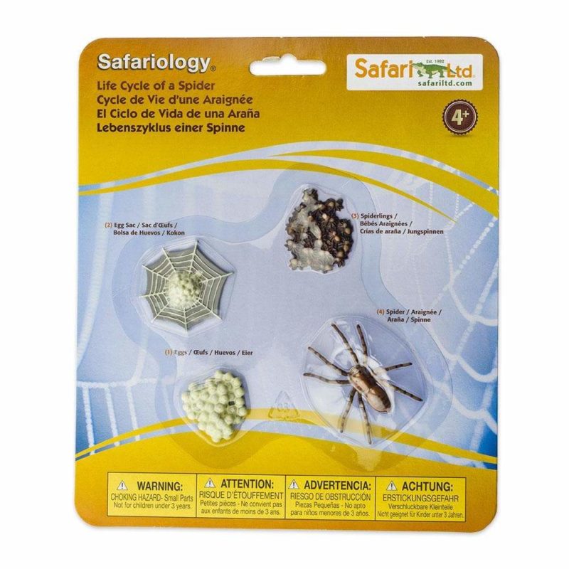 Life cycle figurines of a spider - Safari Ltd - Teia Education & Play