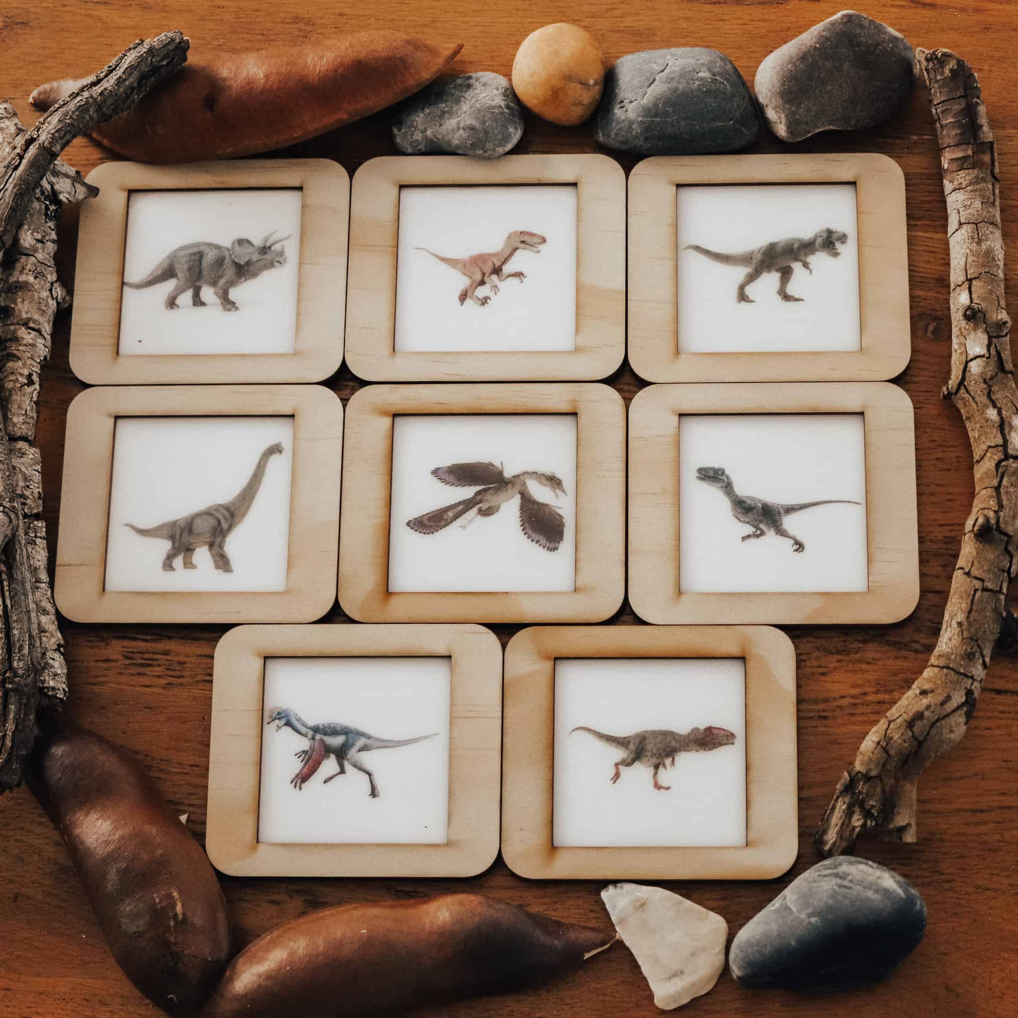 Dinosaur Fossil Stamps - 5 Little Bears - Teia Education & Play