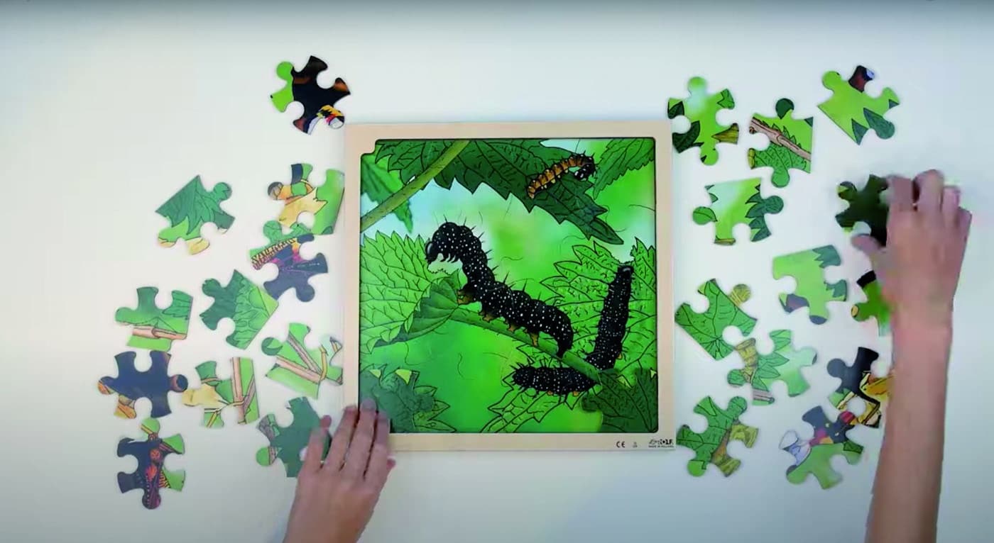 Layer puzzle life cycle: butterfly - Rolf - Teia Education & Play