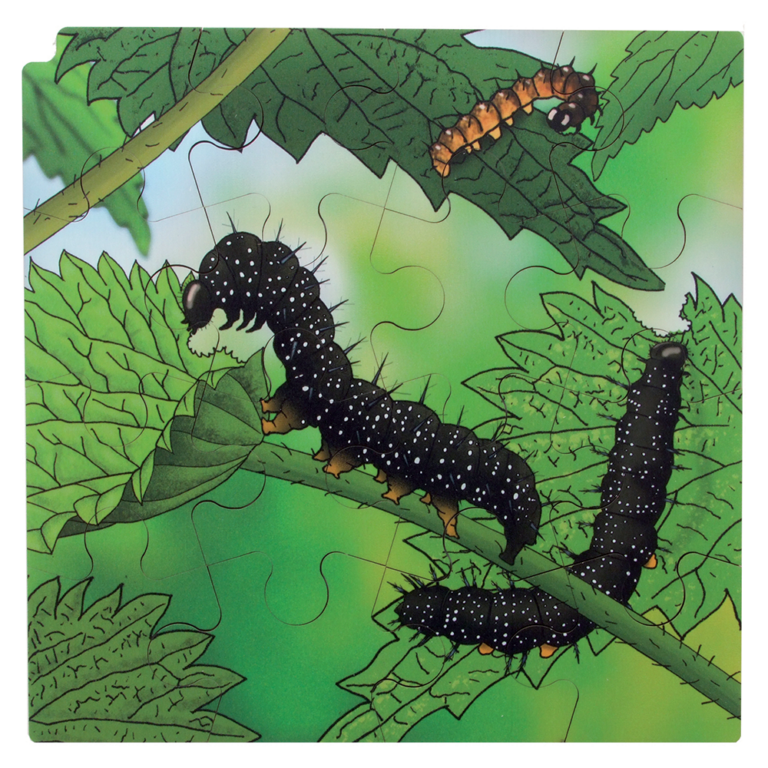 Layer puzzle life cycle of a butterfly - Rolf - Teia Education & Play