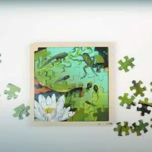 Layer puzzle life cycle: frog - Rolf - Teia Education & Play
