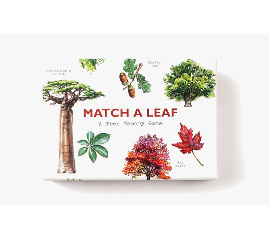 Match a leaf: a tree memory game - Laurence King