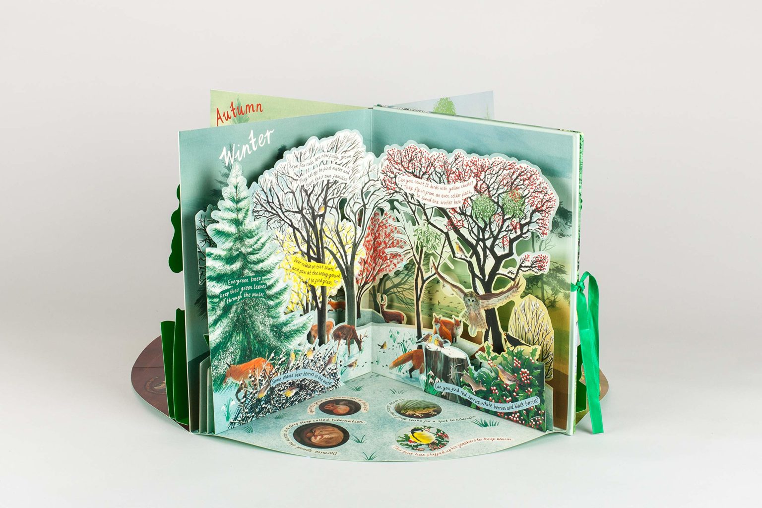 A year in nature: a carousel book of the seasons - Hazel Maskell