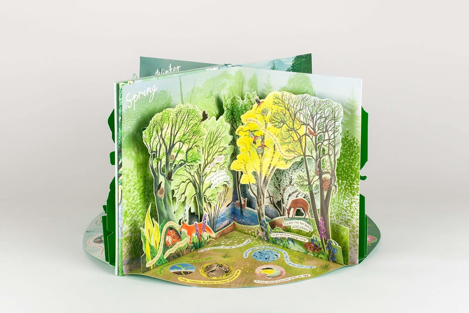 A year in nature: a carousel book of the seasons - Hazel Maskell
