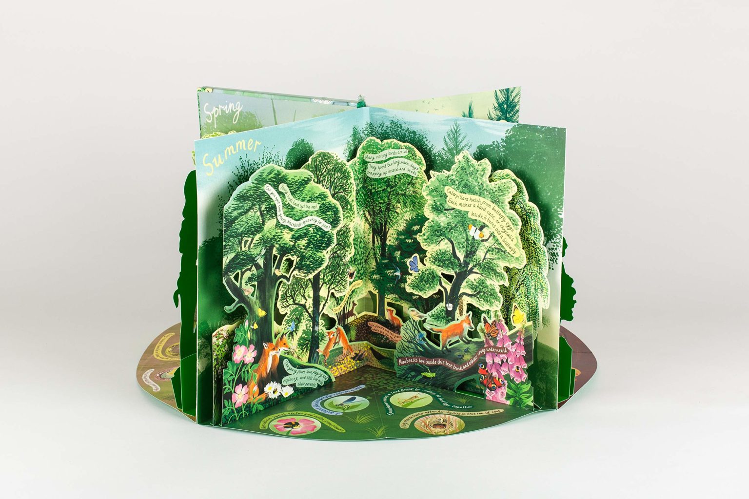 A year in nature: a carousel book of the seasons - Hazel Maskell