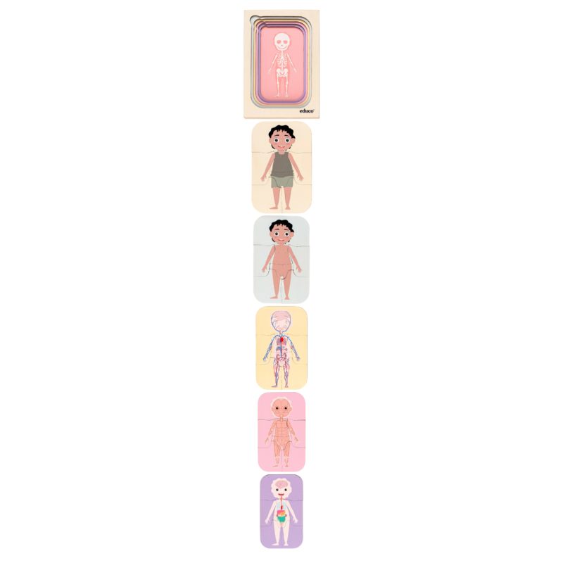 Layer puzzle human body boy - Educo - Teia Education & Play